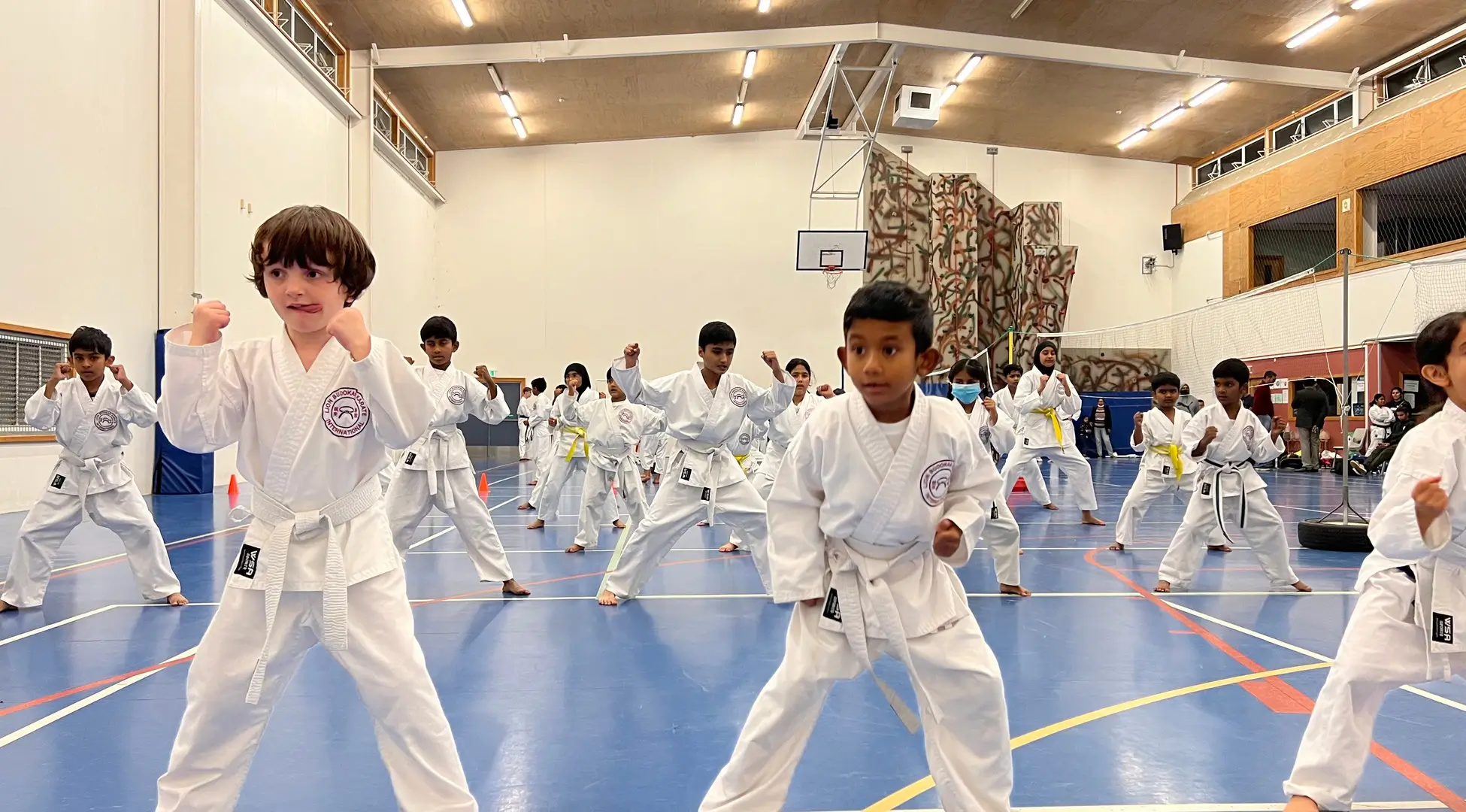 Karate nz - Lion Budokan Karate International