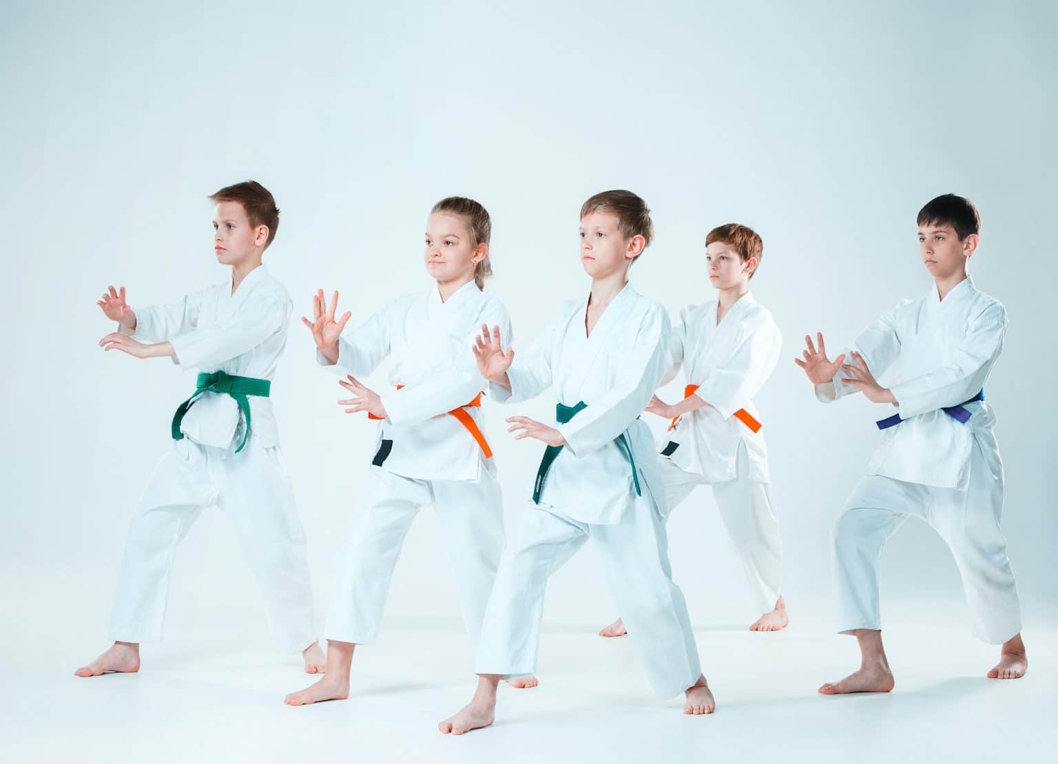 Karate Lessons | Martial arts training | Lion Budokan Karate Int'l