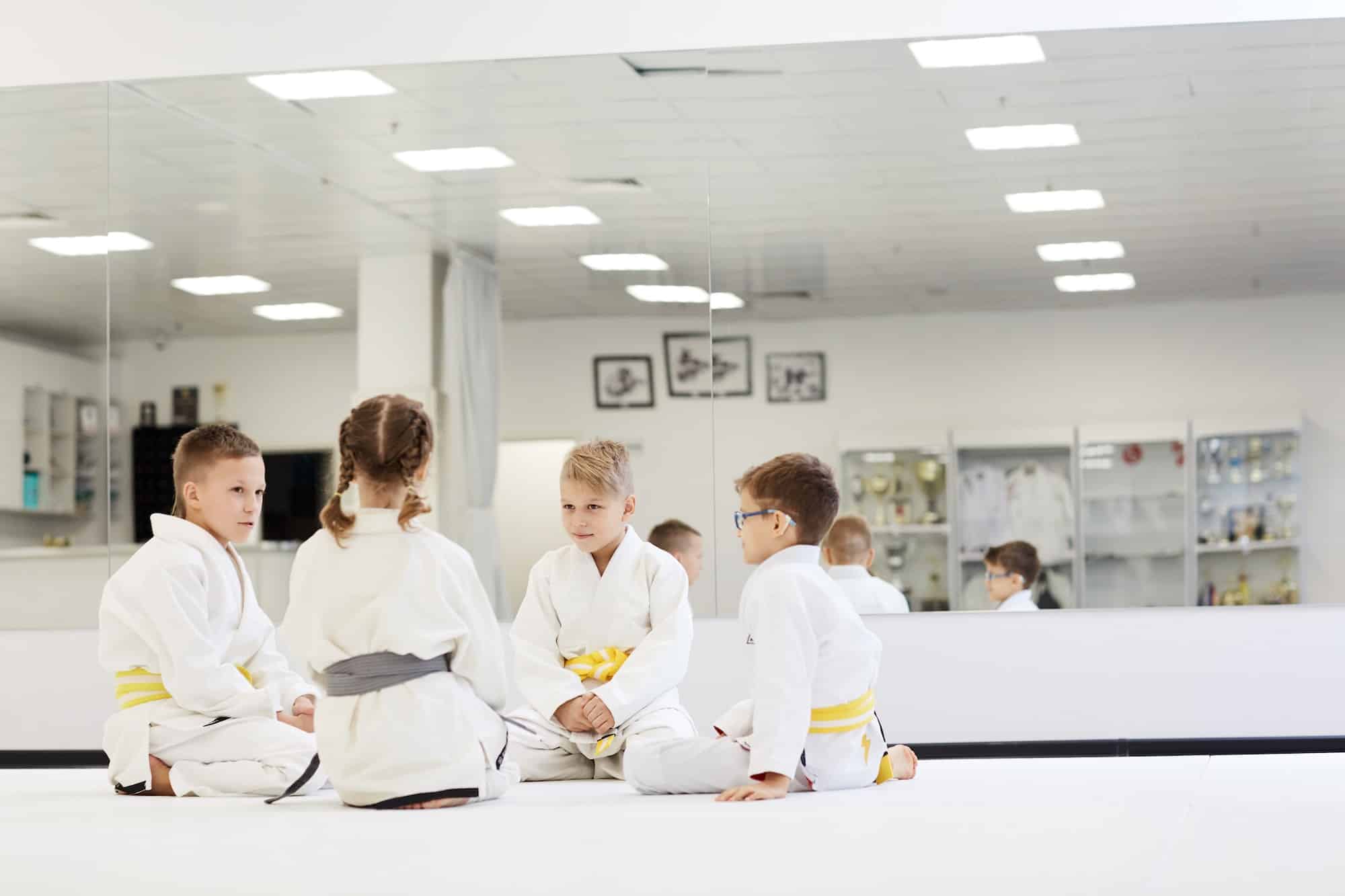 Karate Lessons | Martial arts training | Lion Budokan Karate Int'l