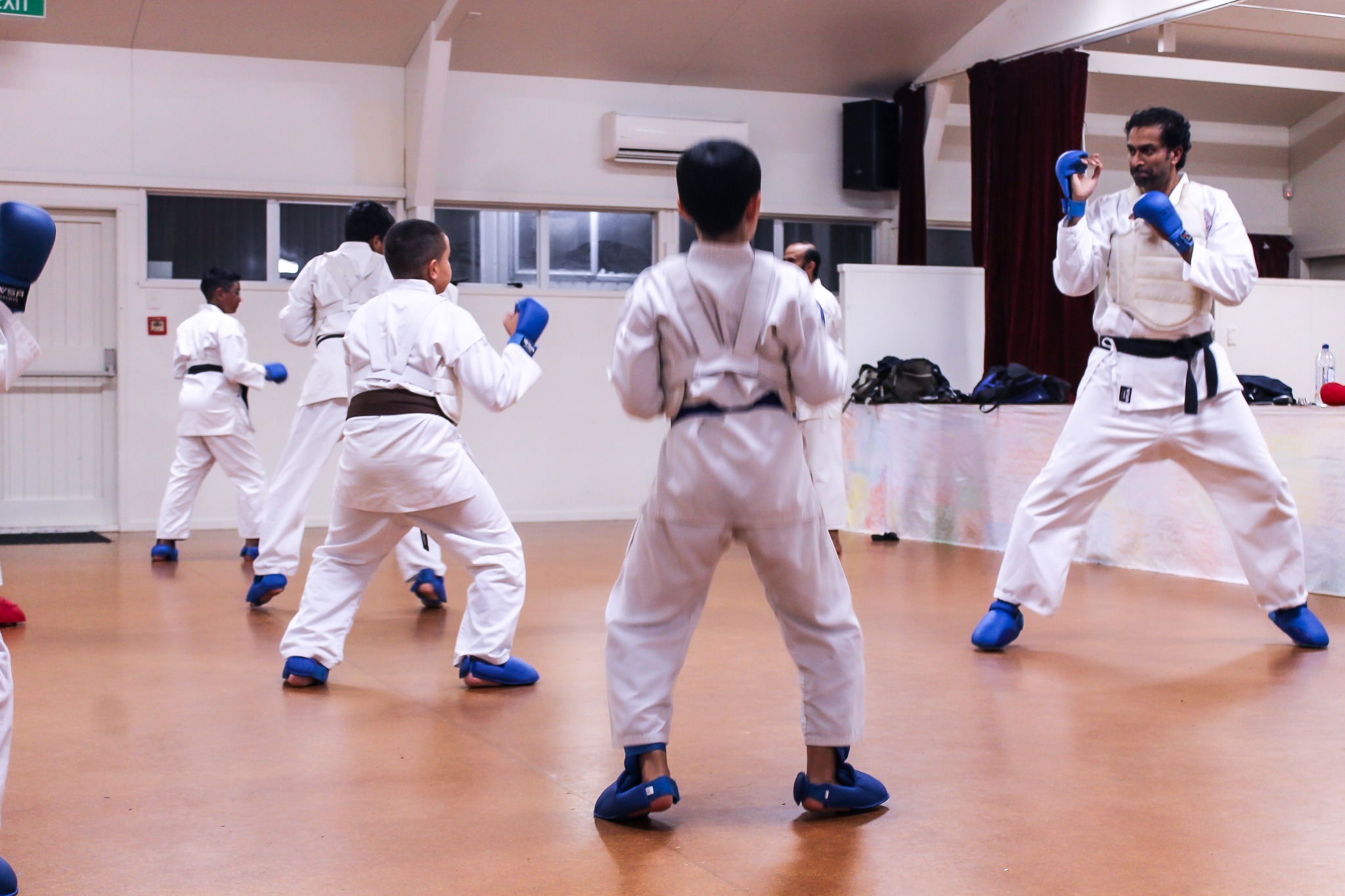 Karate Lessons | Martial arts training | Lion Budokan Karate Int'l