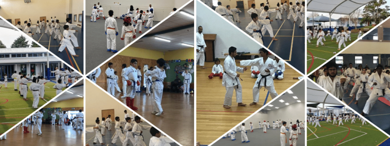 Karate Lessons | Martial arts training | Lion Budokan Karate Int'l